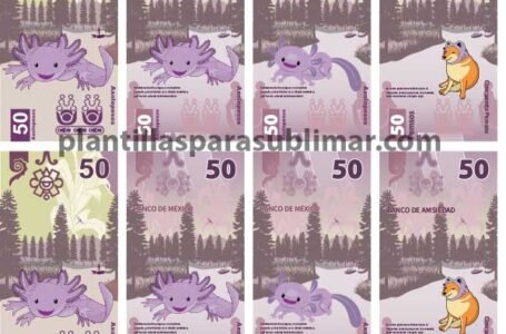 Billete 50 Pesos Ajolote Vector Plantillas Para Sublimar