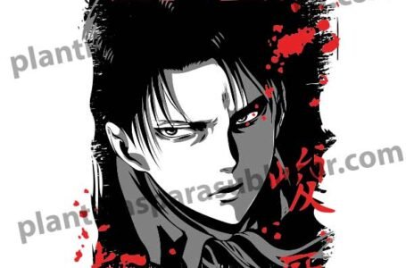 attack-on-titan-levi-Corte-Sublimacion – Plantillas para sublimar